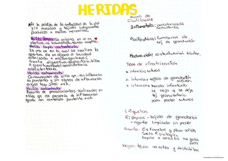 Heridas | Nursemaniapuntes | uDocz