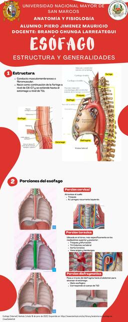 ESÓFAGO | Piero | uDocz