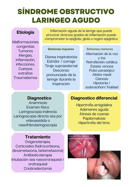 Síndrome obstructivo laringeo agudo | Carolina R. P. | uDocz