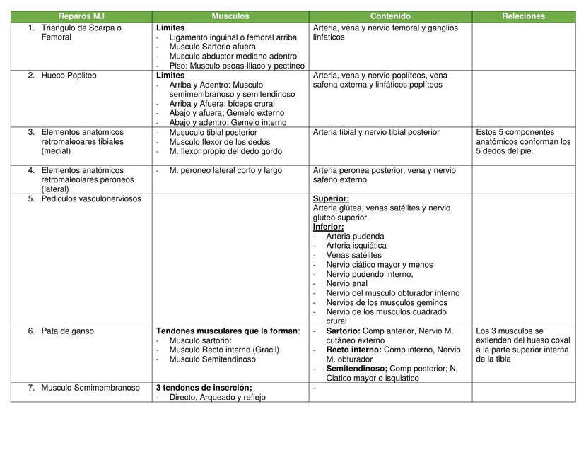 Resúmenes de Reparos anatómicos | Descarga apuntes de Reparos anatómicos