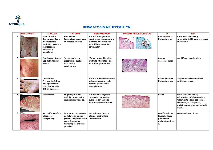 DERMATOSIS NEUTROFÍLICA o | Nicole Soliz | uDocz