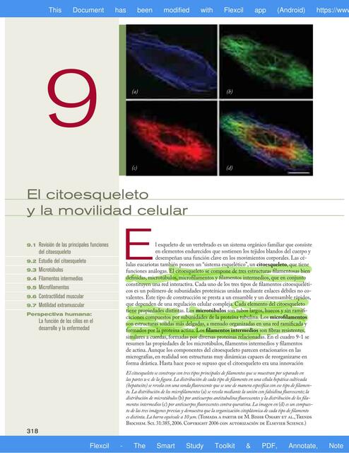 El citoesqueleto y la movilidad celular | P o u l e t t e | uDocz