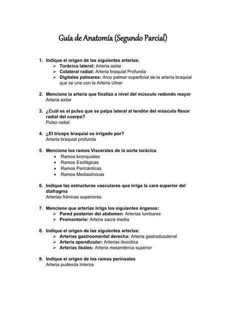 Guía de anatomía II parcial | Gabriela Ramírez | uDocz