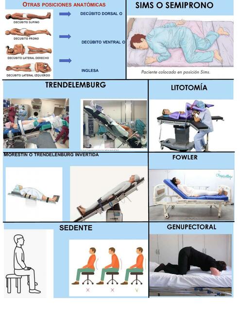 ANATOMIA POSICIONES CORPORALES | CK | uDocz