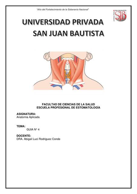 Anatomía del cuello | giuliana ramos | uDocz
