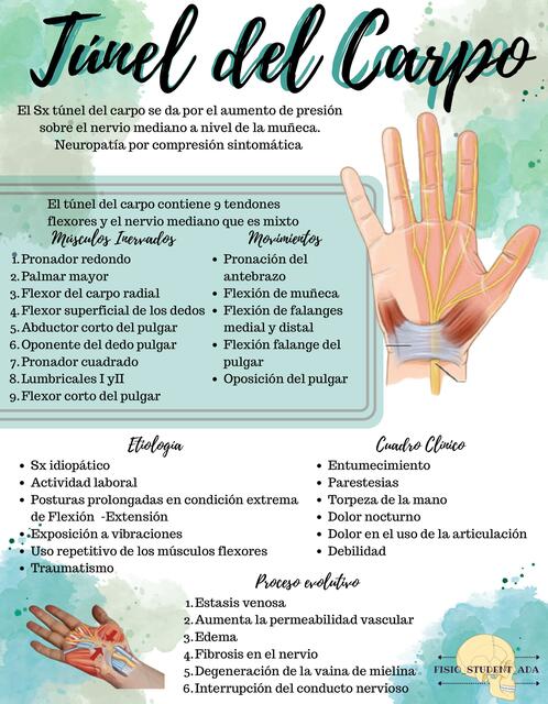 Túnel del Carpo | Fisio.Ada | uDocz