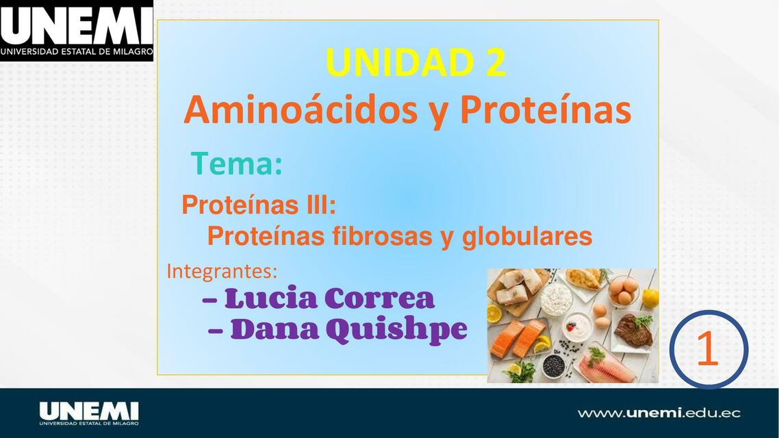 Proteínas globulares y fibrosas | Yesenia | uDocz