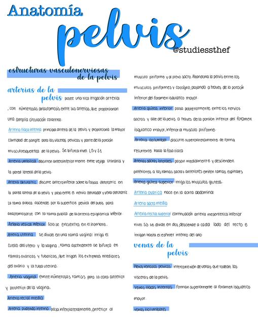 Pelvis I Esthefany Pérez Zambrana Udocz