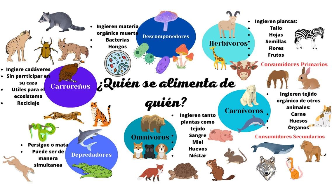 Quién se alimenta de quién | MARIA GRACIA | uDocz