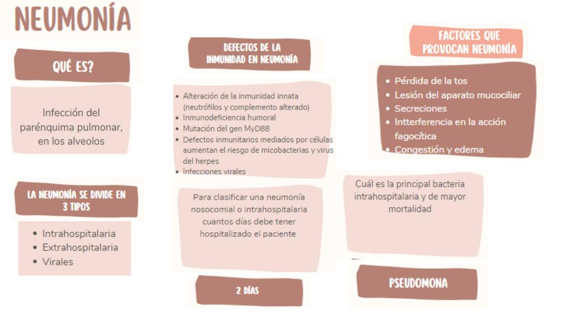 Neumonía | Eco Med | uDocz