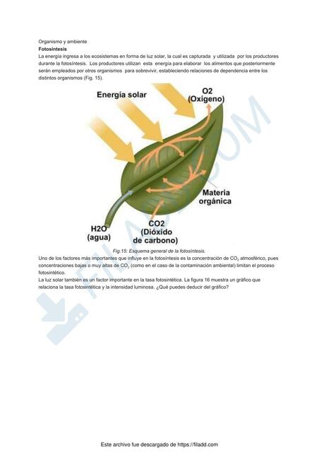 Organismo y ambiente | Yasna Lara | uDocz