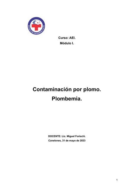 plombemia 8 | Rocio Trinidad | uDocz