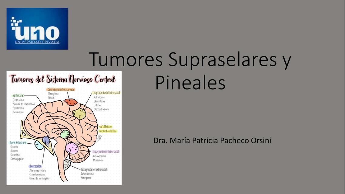 Tumores Supraselares y Pineales | Ivar Flores | uDocz