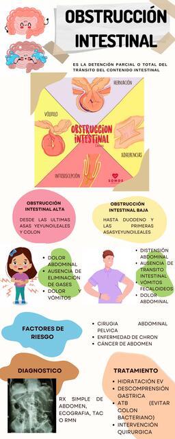 Obstruccion intestinal | NELLY NICOLE GAHONA | uDocz