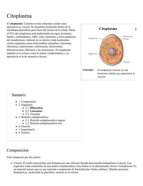 Función Del Citoplasma