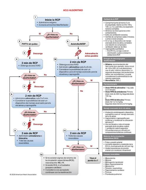 ACLS ALGORITMO | Jackeline Ascuntar | uDocz