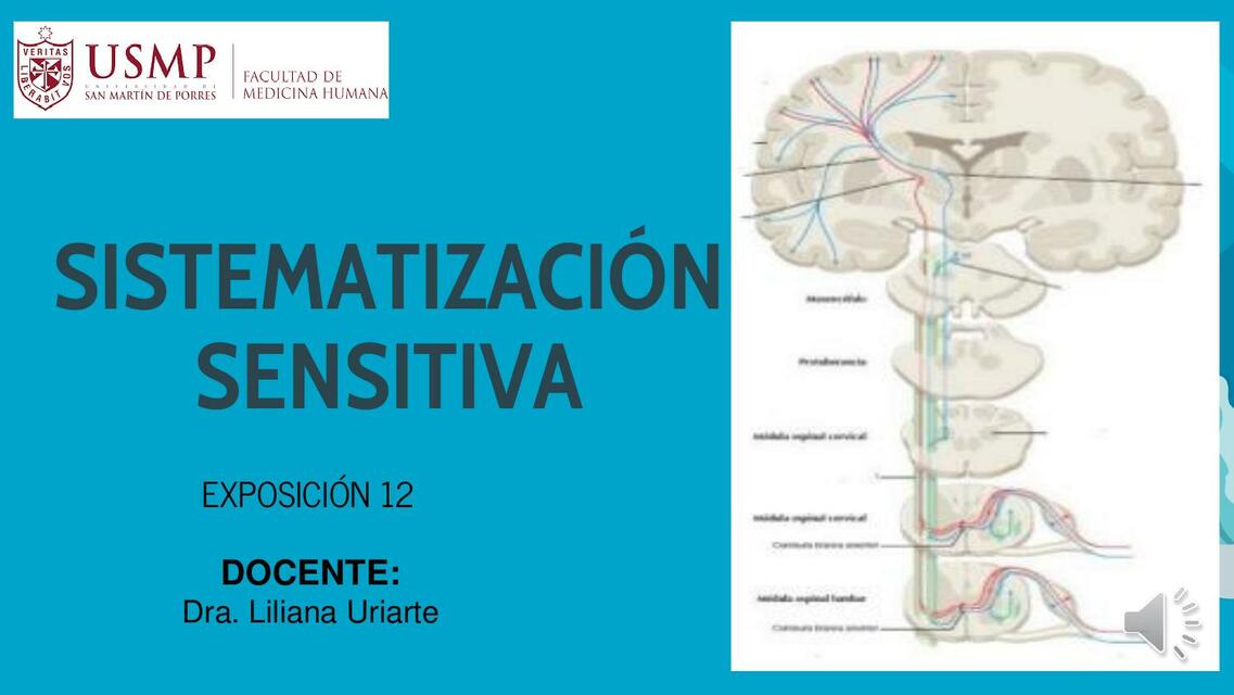 Exposición Sesión 12 | Tiroxina Med | uDocz
