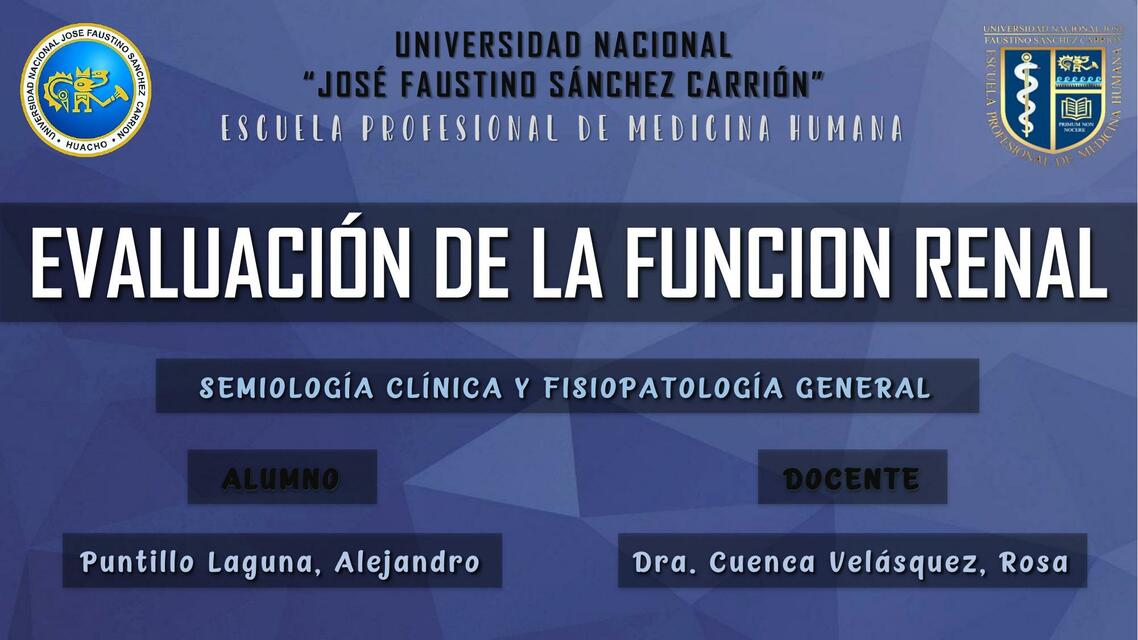Estudio de la Función Renal | Alejandro | uDocz