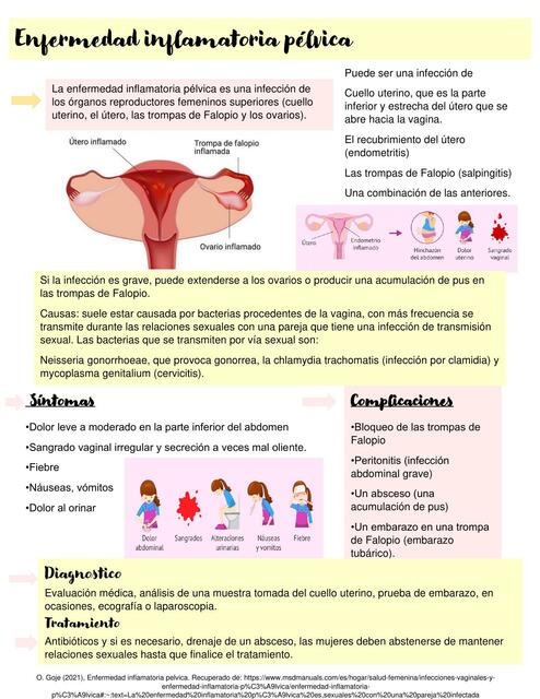 Enfermedad inflamatoria pélvica | Apuntes.de.enfermeria | uDocz