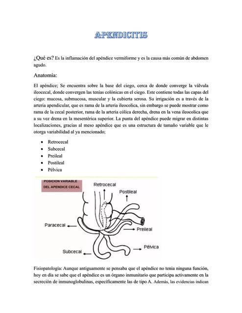 Resúmenes de Apendicitis resumen | Descarga apuntes de Apendicitis resumen