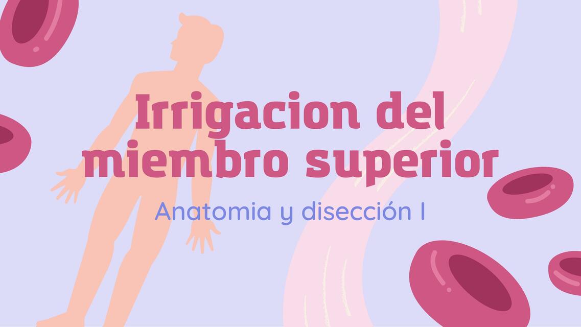 Biología Cuerpo Humano Células Orgánico | jose raul velazquez alonso | uDocz