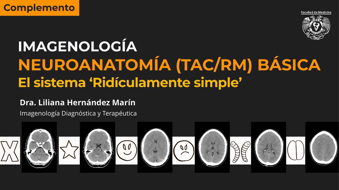 Neuroanatomía Básica Diapositivas | monica hernandez | uDocz
