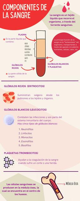 Componentes de la sangre | Rooss Pamell Janampa Calle | uDocz