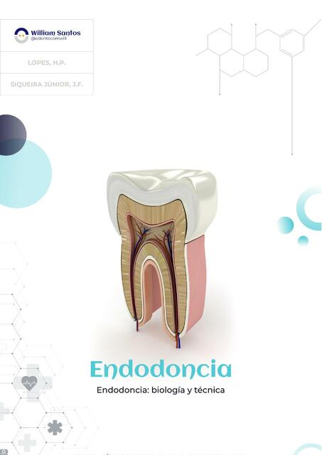 Endodoncia | Isbell Alvarez | uDocz