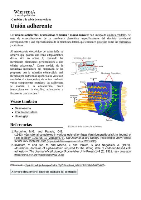 Unión adherente | Aprende Todo de Medicina | uDocz
