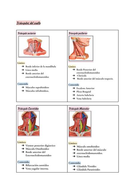 Triángulos del Cuello | Waleska | uDocz