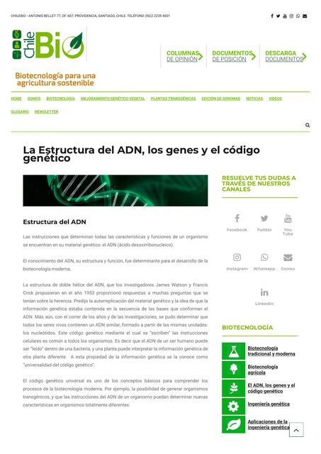 La Estructura del ADN, los Genes y el Código Genético | Aprende Todo de ...