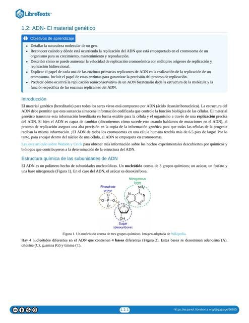 ADN como material genético. | uDocz