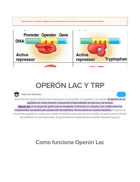 Operones, Lac y Trp. | Aprende Todo de Medicina | uDocz