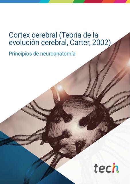 Cortex Cerebral | Arelys Vaquiro | uDocz