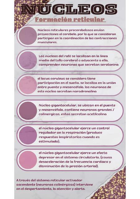 Formación Reticular | Karina Orozco | uDocz