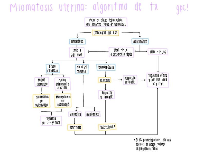 Algoritmo de Tx miomatosis uterina gpc | Josefa (@jomedstudent) | uDocz