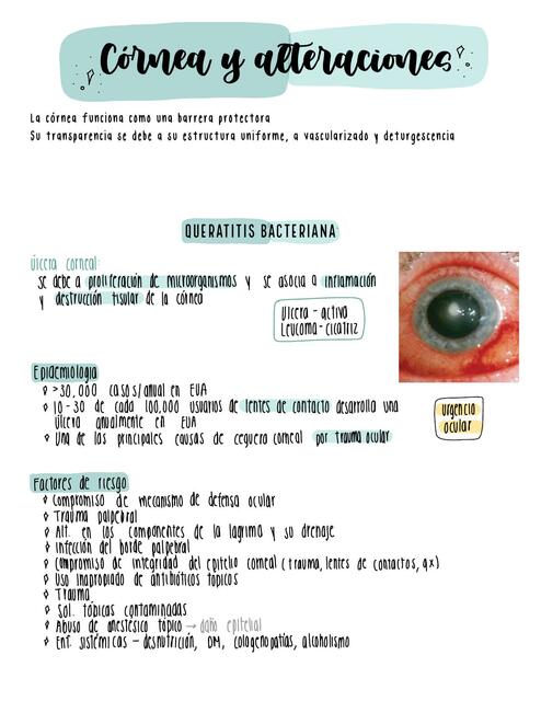 Córnea y alteraciones | Josefa (@jomedstudent) | uDocz