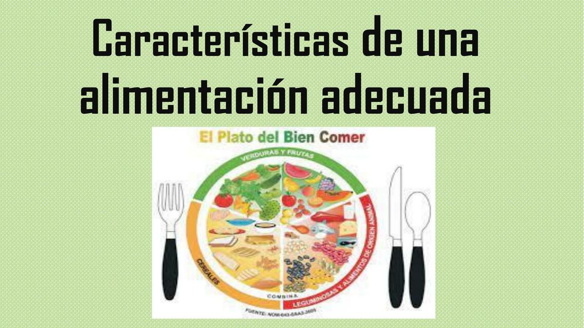 Características de una Alimentación Adecuada | NORMA IDALIA VILLEGAS ...