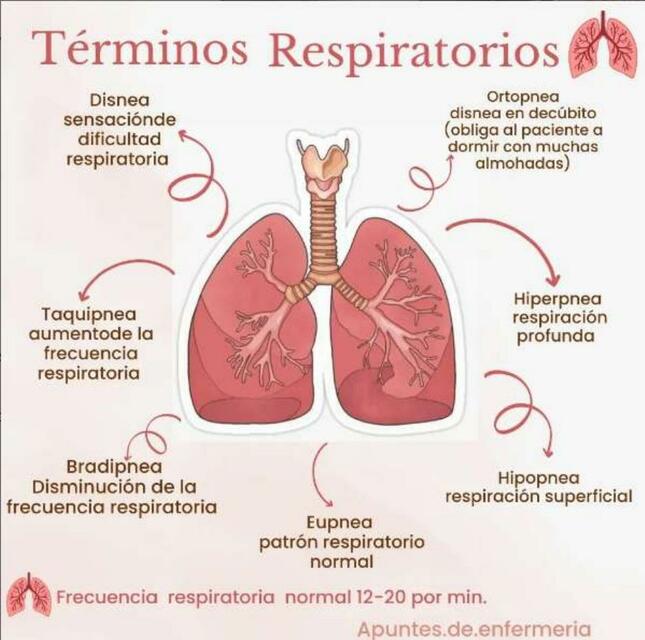 Terminos Respiratorios | YUDOC.ORG | uDocz