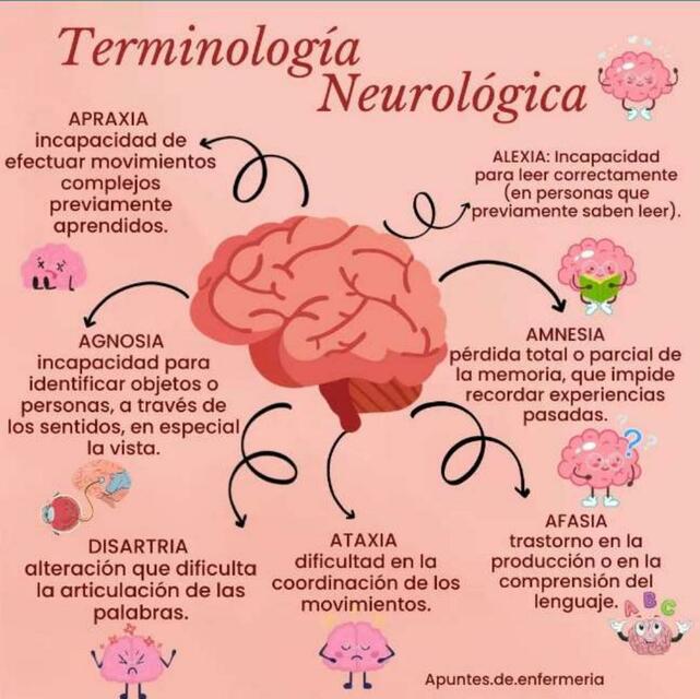 Terminologia Neurologica | YUDOC.ORG | uDocz