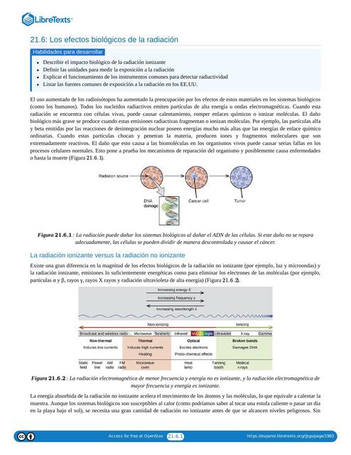 Los Efectos Biológicos de la Radiación | Aprende Todo de Medicina | uDocz