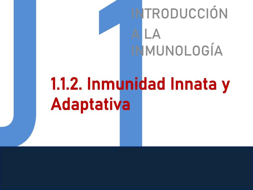 Inmunidad innata y adaptativa | karol verruck | uDocz