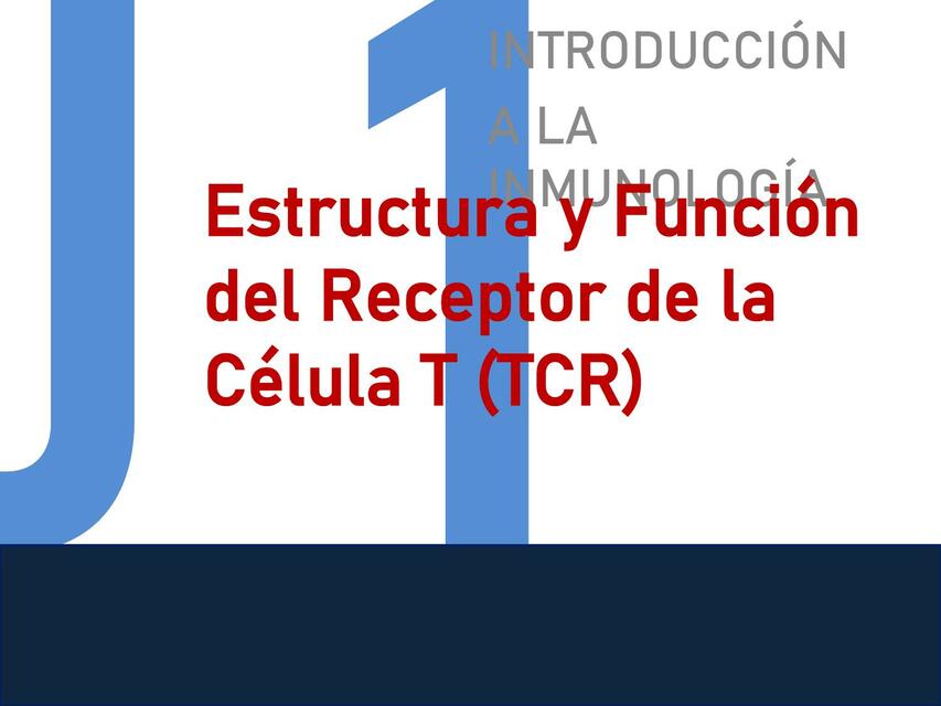 Estructura y Función del Receptor de la Célula T (TCR) | karol verruck ...