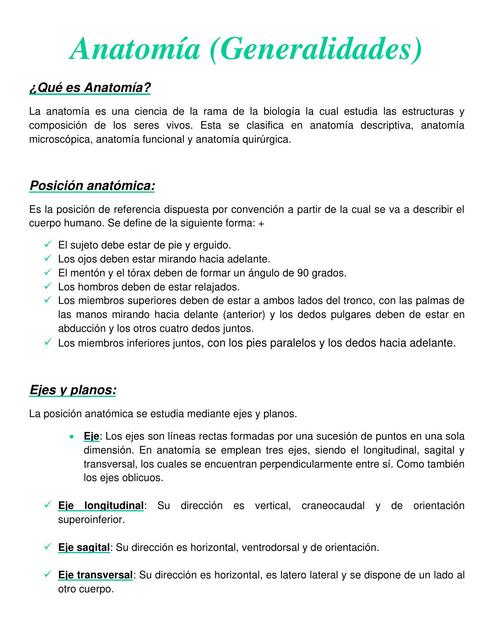 Términos de Anatomía | Lourdes | uDocz