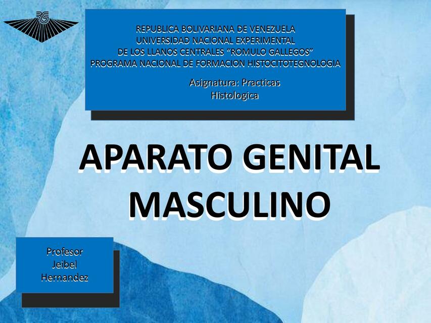 diapositiva kimberly | Reyker vargas | uDocz