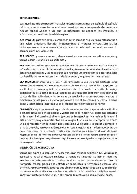 resumen transmision neuromuscular | samira arango | uDocz
