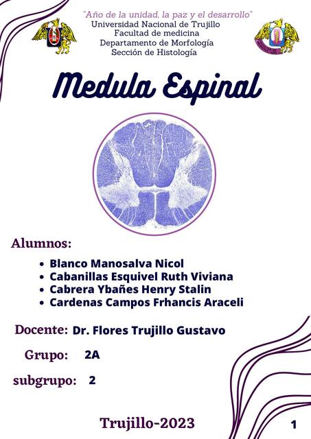 Médula Espinal | JUAN DAVID CASSINELLI ZAVALETA | uDocz