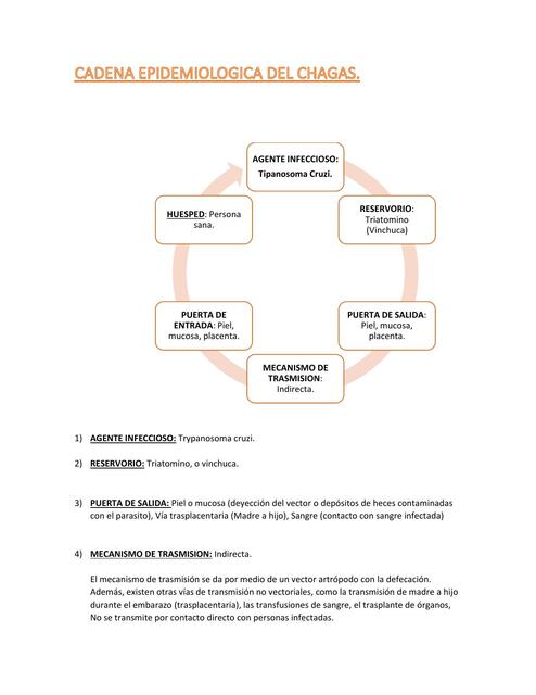 Agente infeccioso | uDocz