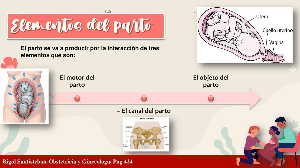 Elementos del Parto | Medicina Óptima | uDocz