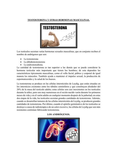 Testosterona y otras hormonas masculinas | Anahí | uDocz
